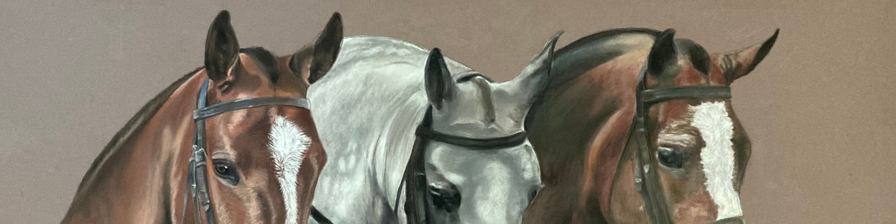 The Horse Artist - Horse Portraits