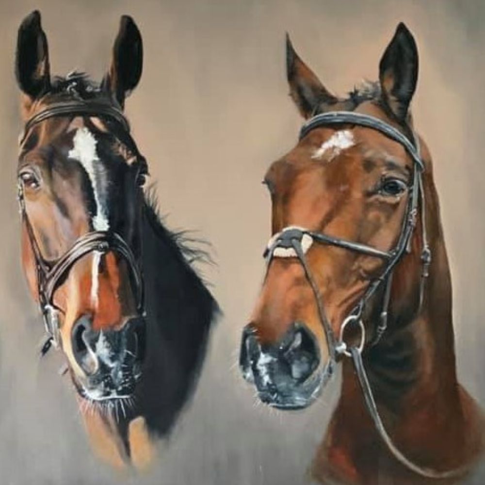 The Horse Artist - Horse Portraits